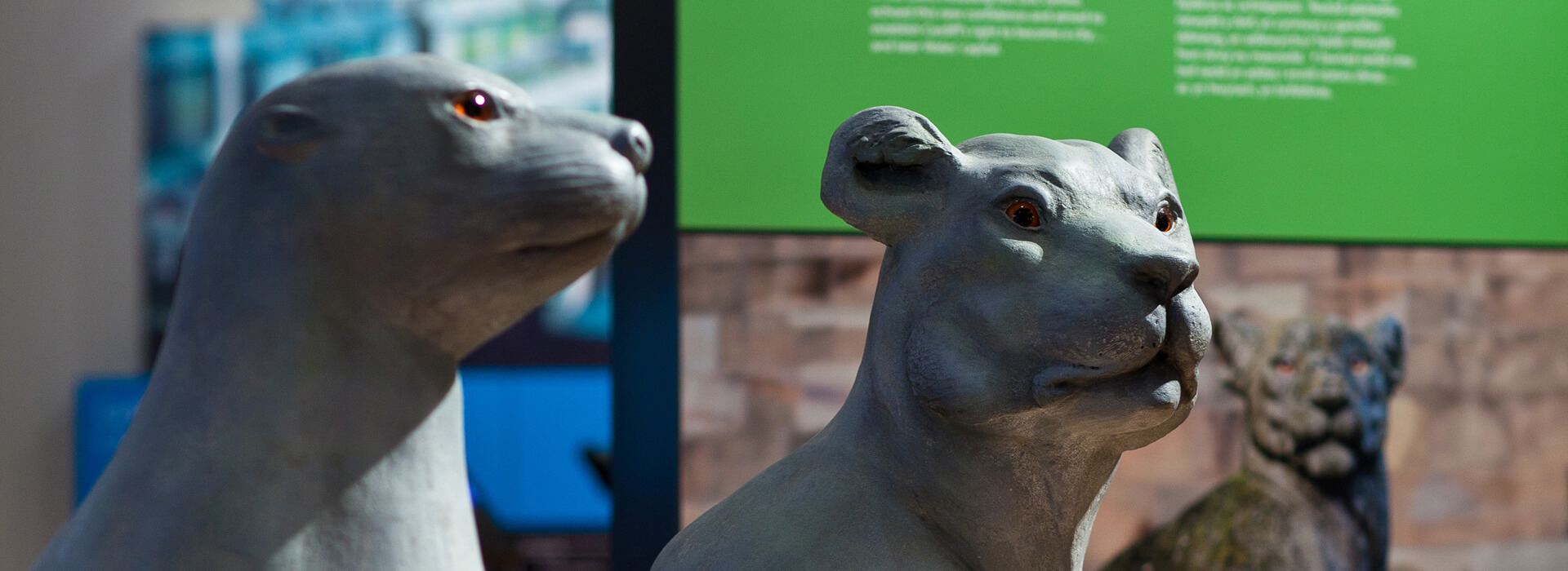 Cardiff Story Museum - A Museum all about Cardiff